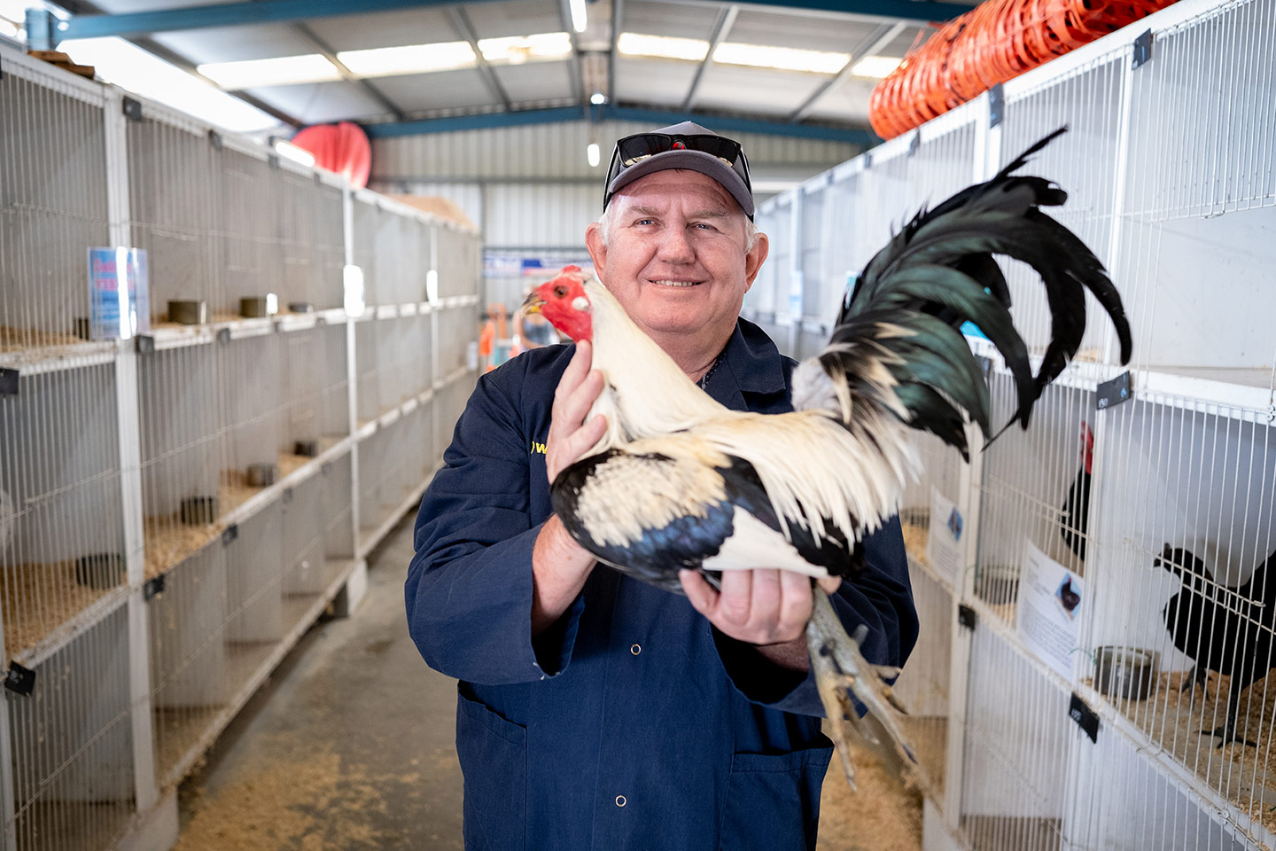 Mudgeeraba Show Society