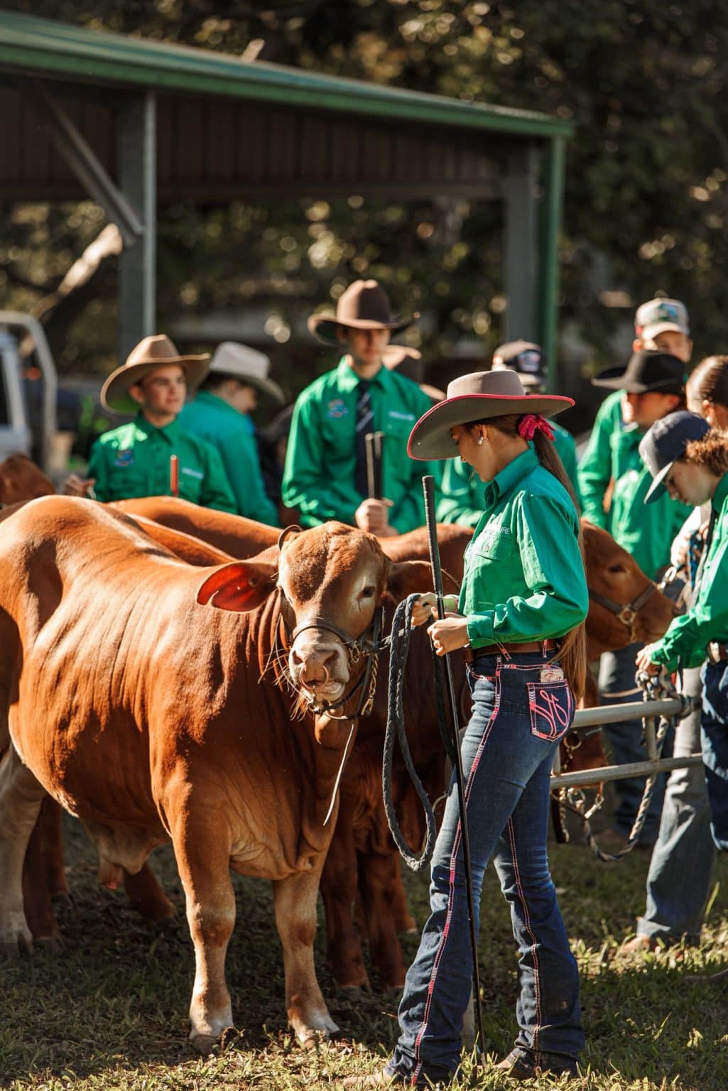 2026 Mudgeeraba Agricultural Show - Mudgeeraba Show Society
